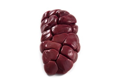 Kidney from bovine | Frimosa